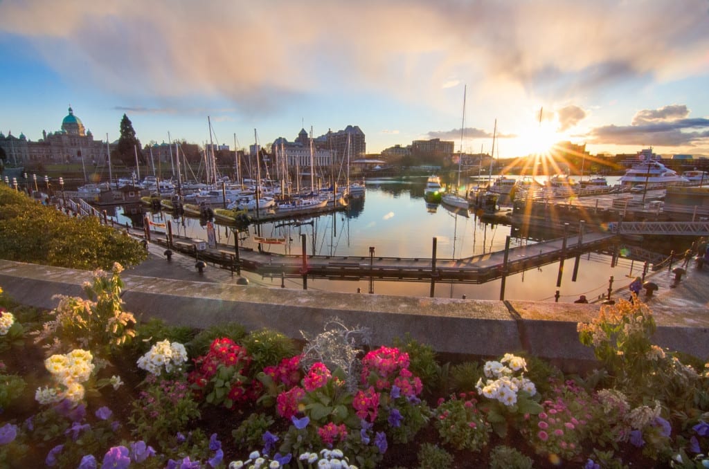 Victoria named one of ‘Canada’s top 5 cities to visit’ in prestigious ...