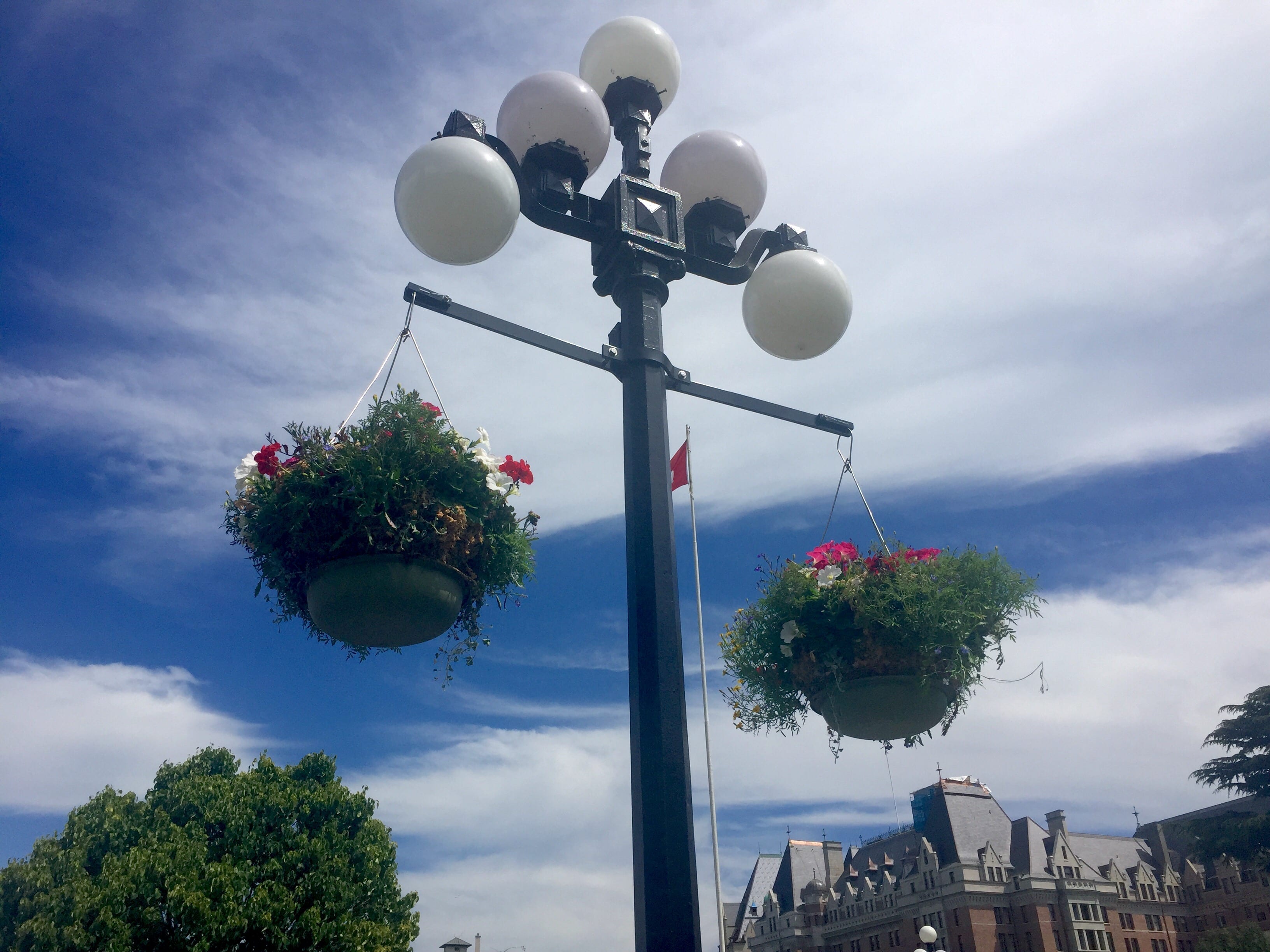 Symbols of city of Victoria : r/VictoriaBC