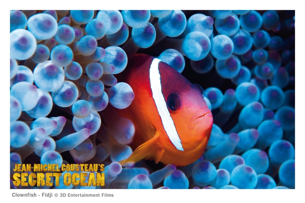 Dive in for a closer look at the ocean's smallest creatures with IMAX