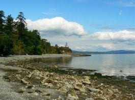 5 awesome beaches in Victoria you need to check out