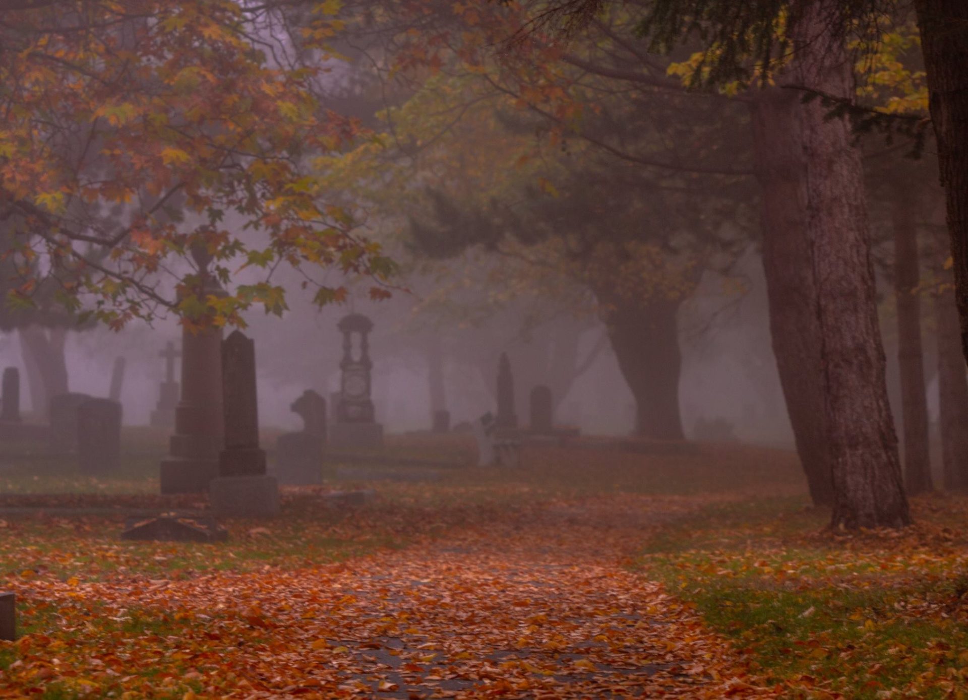 Embrace scary season: Take a ghost tour through Victoria’s Ross Bay ...