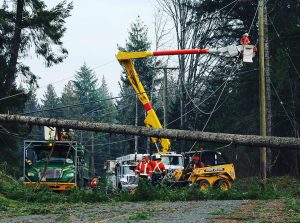 Wind warning and snow risk issued for Greater Victoria as storm approaches