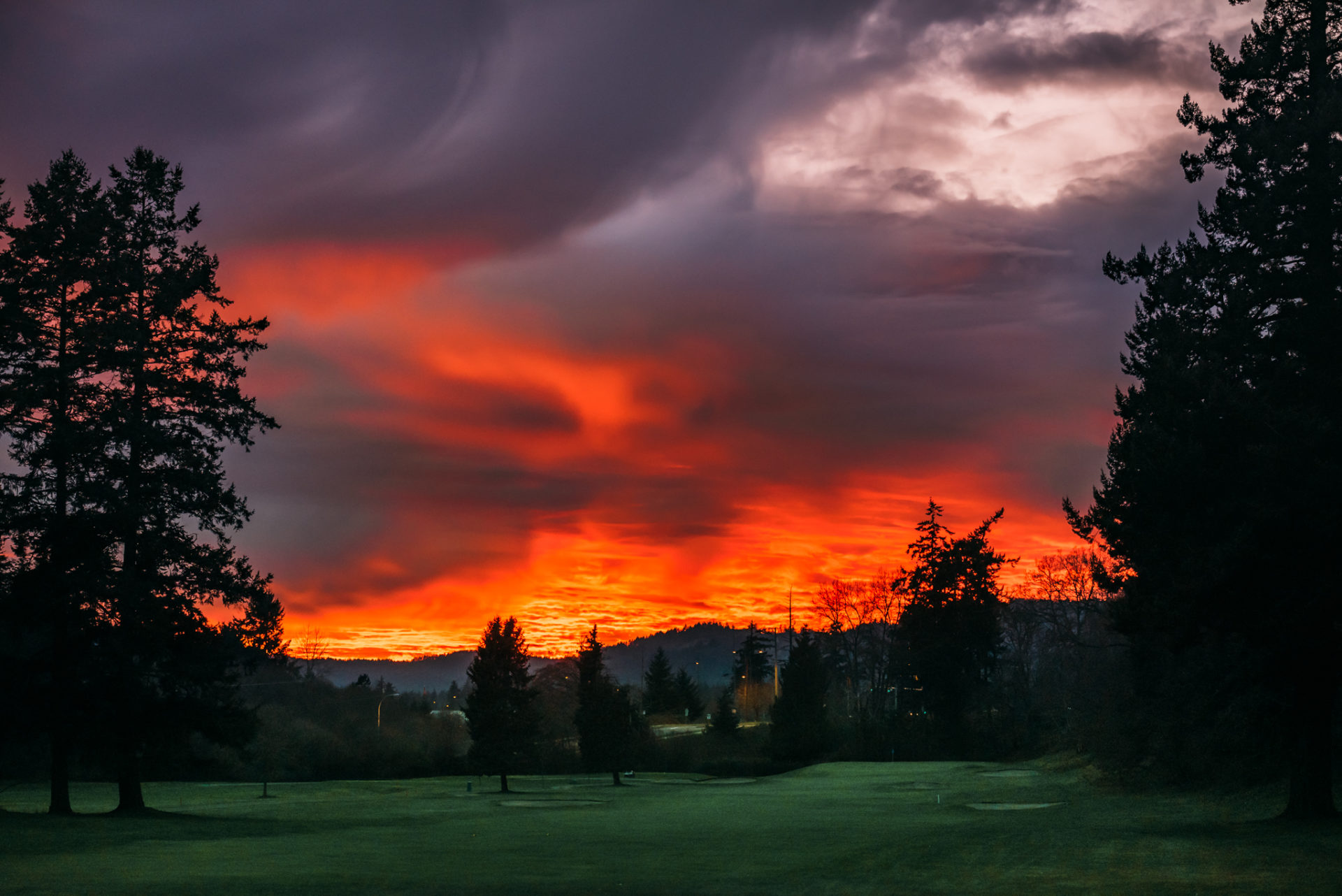 13 photos of the spectacular sunset in Victoria this evening (PHOTOS)