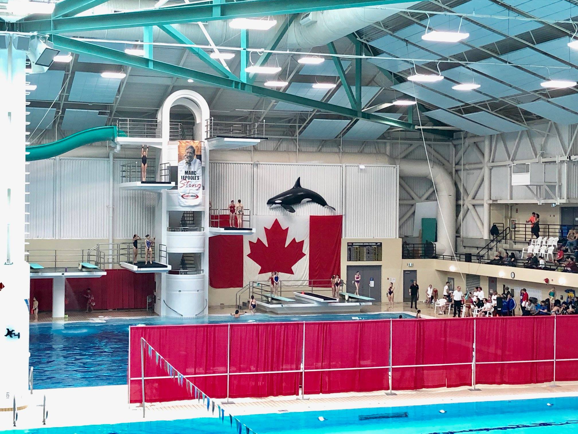 commonwealth pool saanich parks & recreation