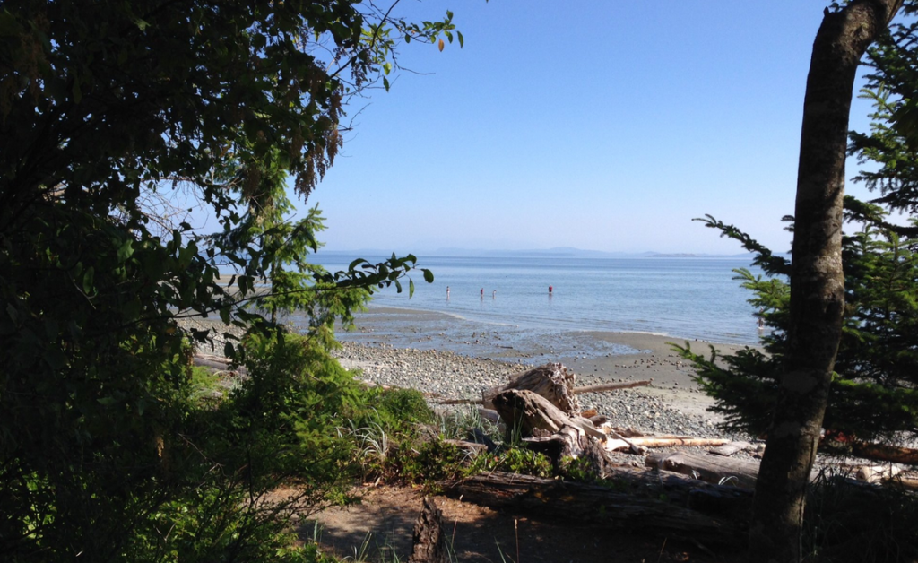 Comox Valley RCMP search for man who allegedly exposed himself in the ...