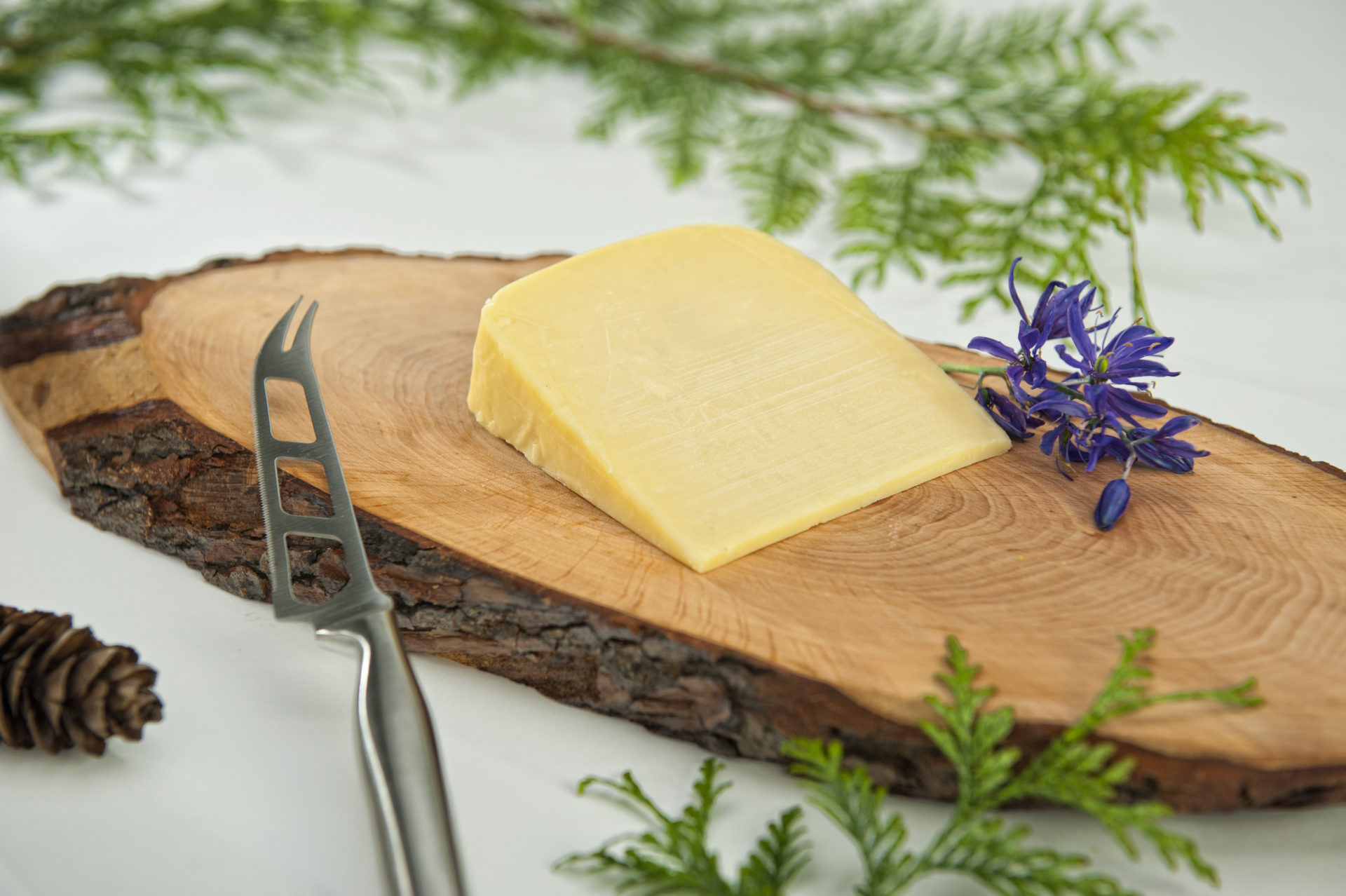 We're giving away 25 prize packs full of some of the Island's most ...