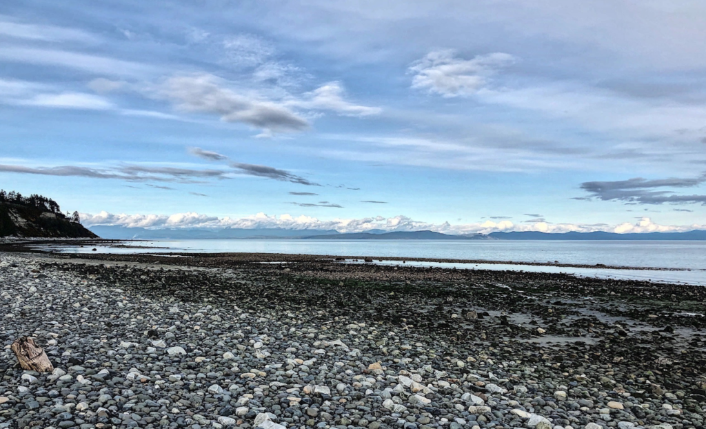 Human placenta found at a beach on Vancouver Island