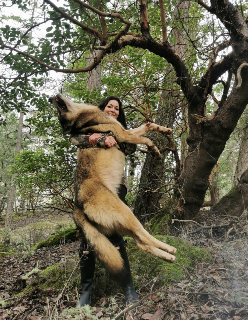 Vancouver Island trophy hunter denies killing wolf pack near Sooke