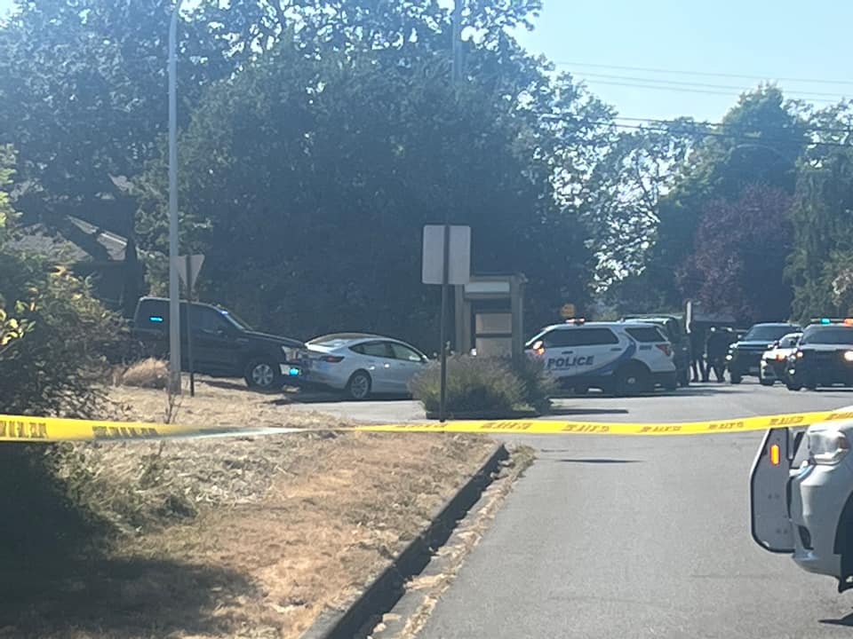 Tesla driver arrested after crashing head-on into an Oak Bay police cruiser