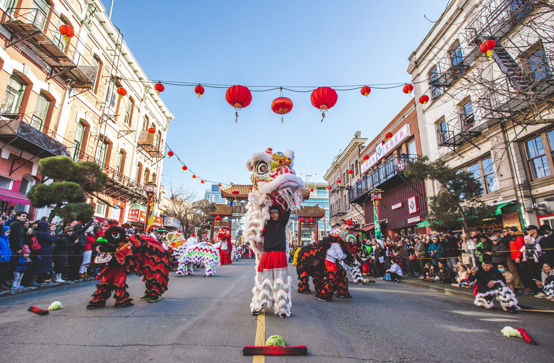 23 vibrant captures from Victoria's Chinese Lunar New Year parade ...