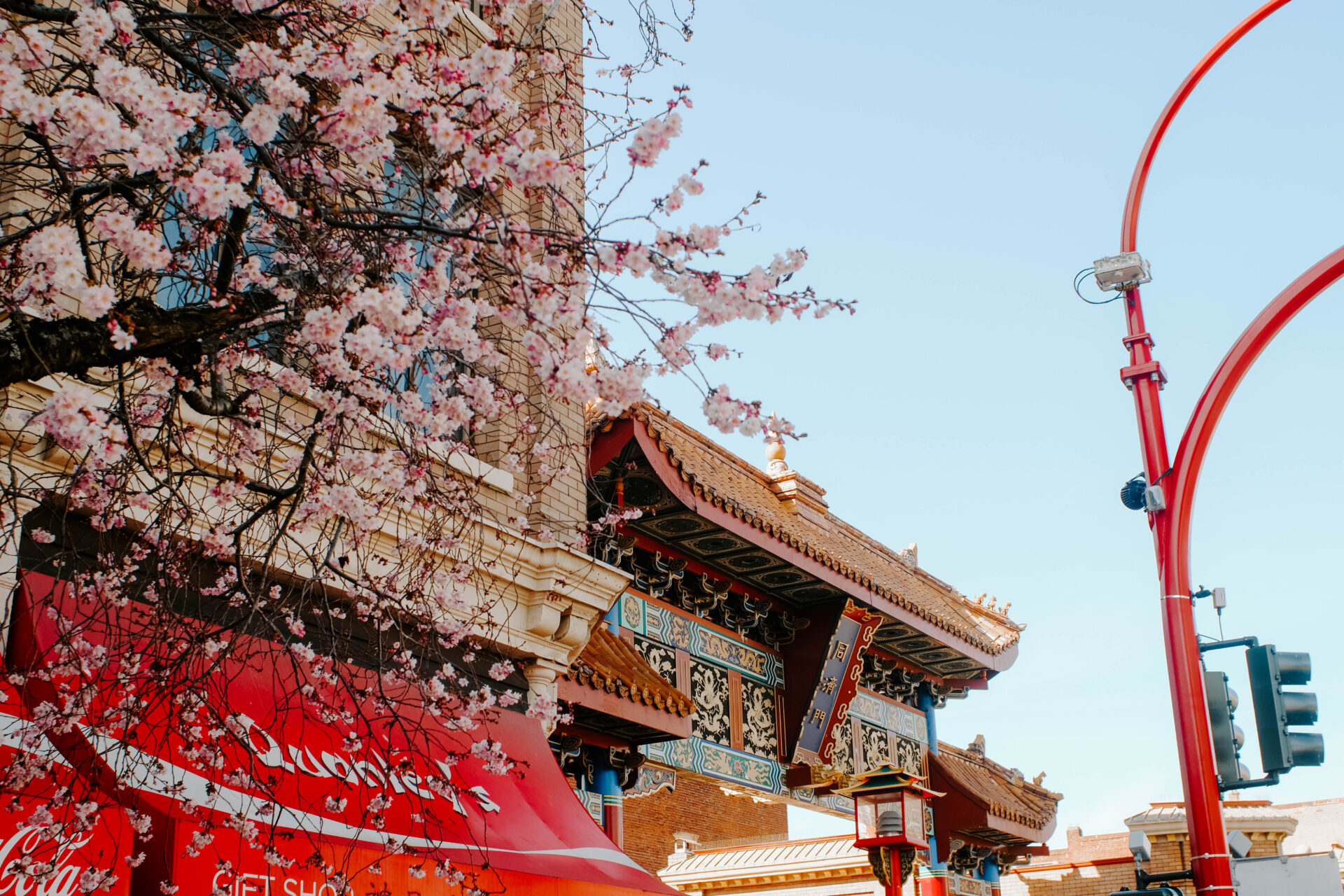 Here are some of the best spots to view vibrant cherry blossoms in and ...