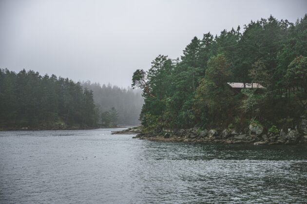 Scuba diver dies near Gabriola Island dock in non-suspicious incident