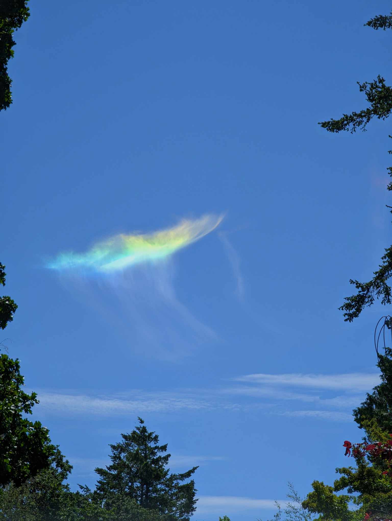 Here’s what caused the rainbow-coloured ‘jellyfish cloud’ over Oak Bay (PHOTOS)