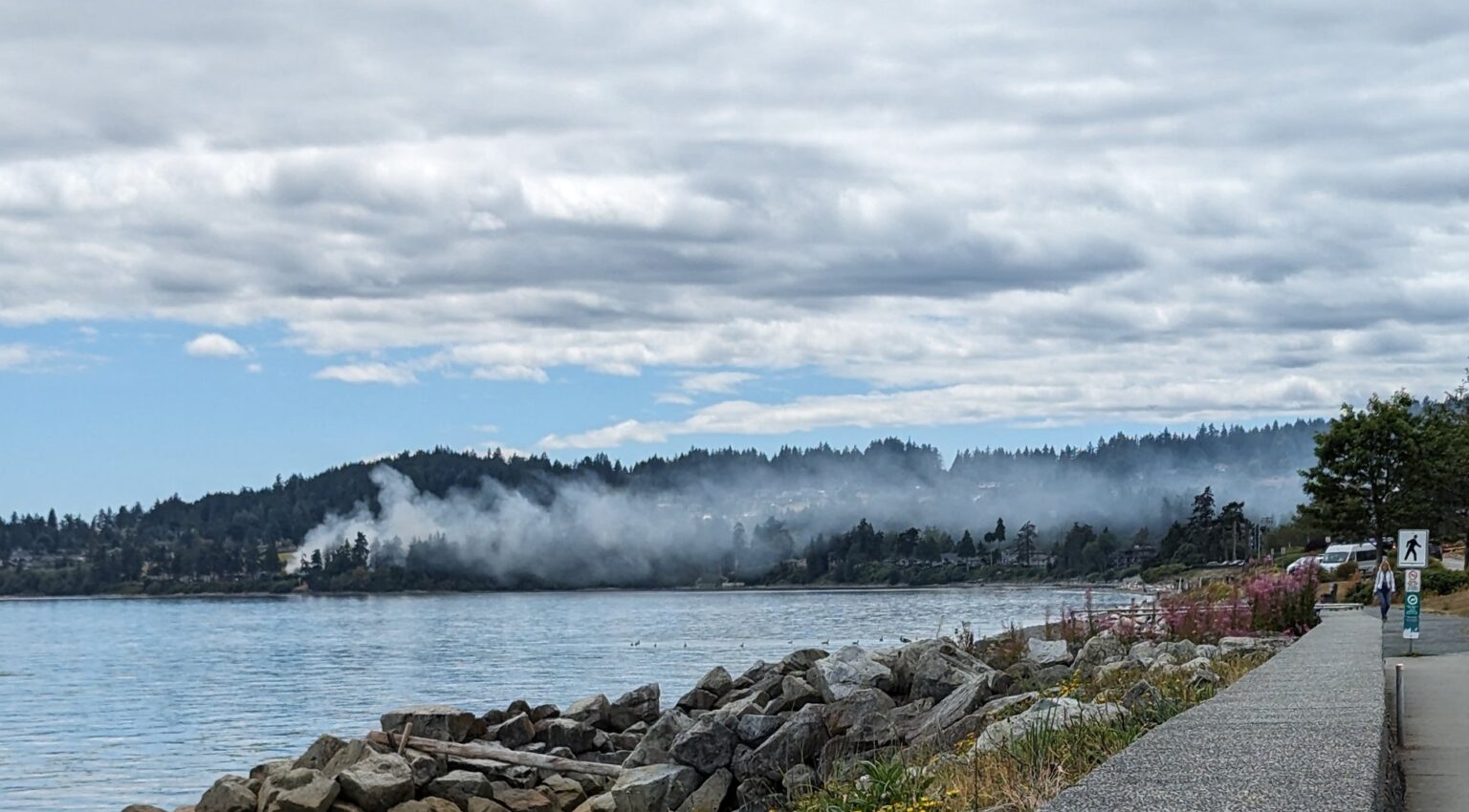 One person arrested after North Saanich house fire deemed suspicious