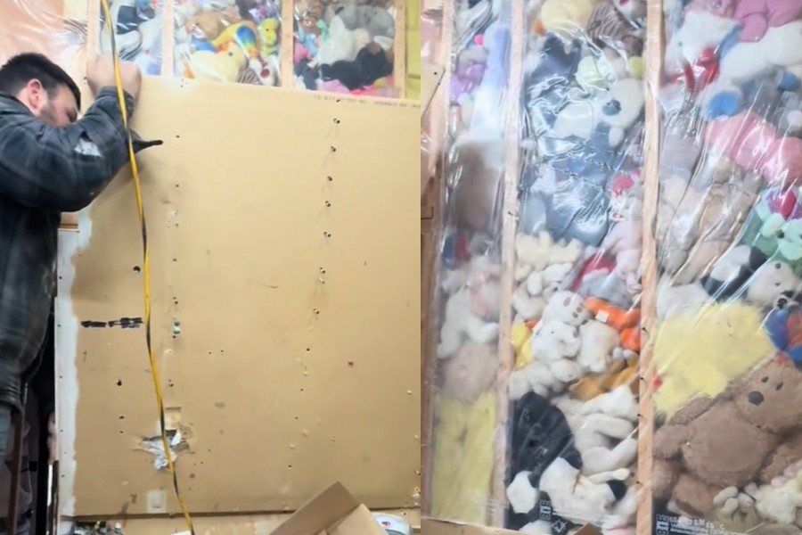 Sooke couple discover massive amount of stuffed animals in wall (VIDEOS)
