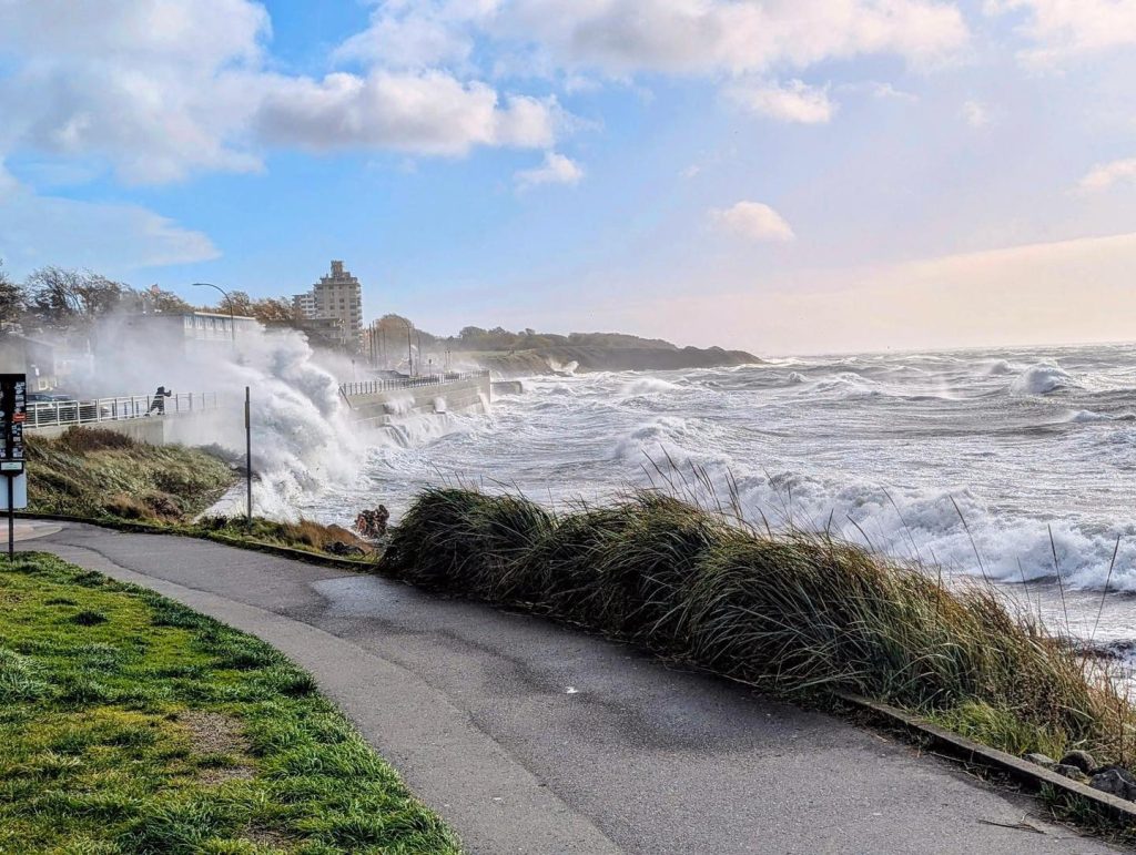Strong winds up to 90 km/h expected for Greater Victoria tonight