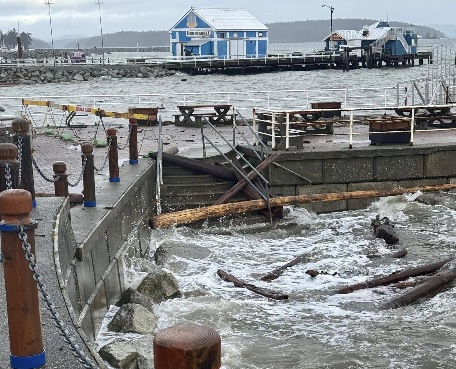 10 scenes capturing the aftermath of storm damage along Sidney's ...