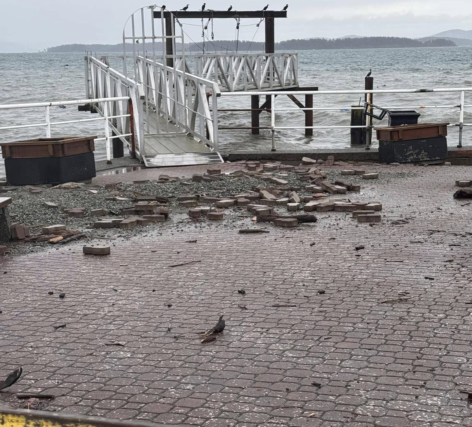 10 scenes capturing the aftermath of storm damage along Sidney's ...