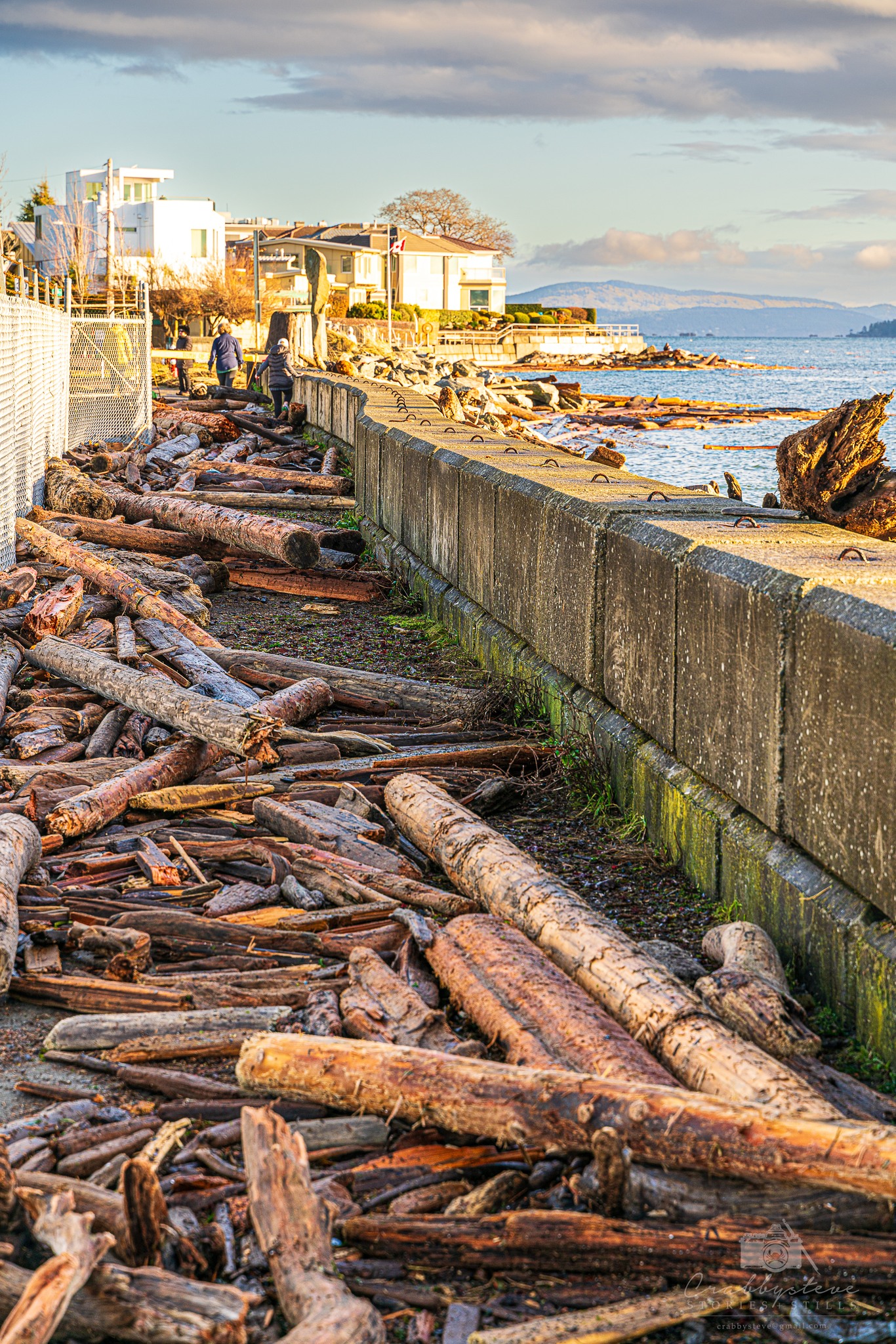 10 scenes capturing the aftermath of storm damage along Sidney's ...