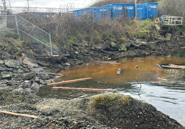 Alleged illegal pollution of ocean waters near Ogden Point being ...