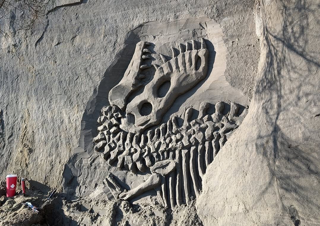 Local artist creates several sand carvings on public beach at Witty’s ...