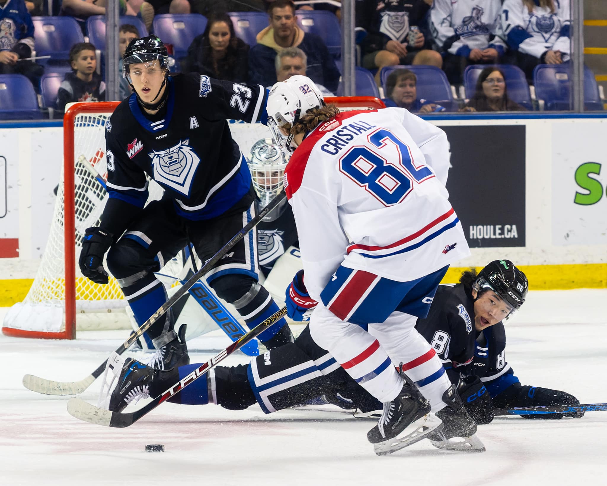 Victoria Royals will return home riding momentum with dominant game two ...