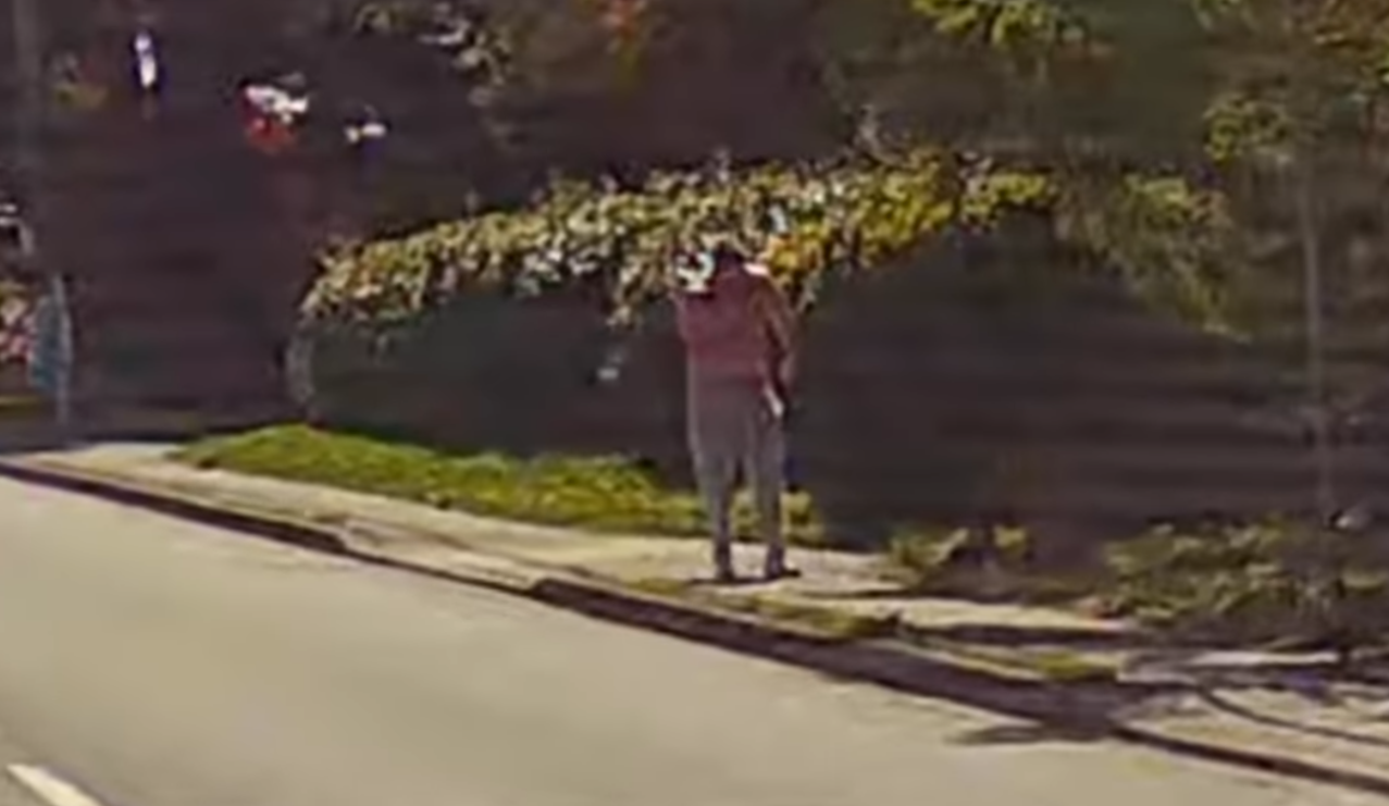 Dashcam captures bizarre moment shirtless man stumbles backwards on ...