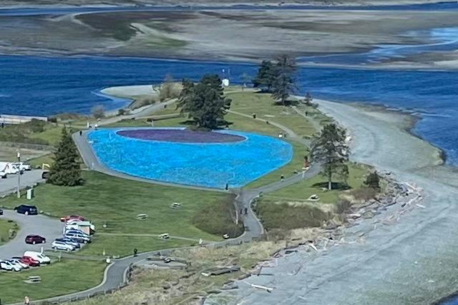 Here’s why there are 50,000 blue and purple flags planted at this ...