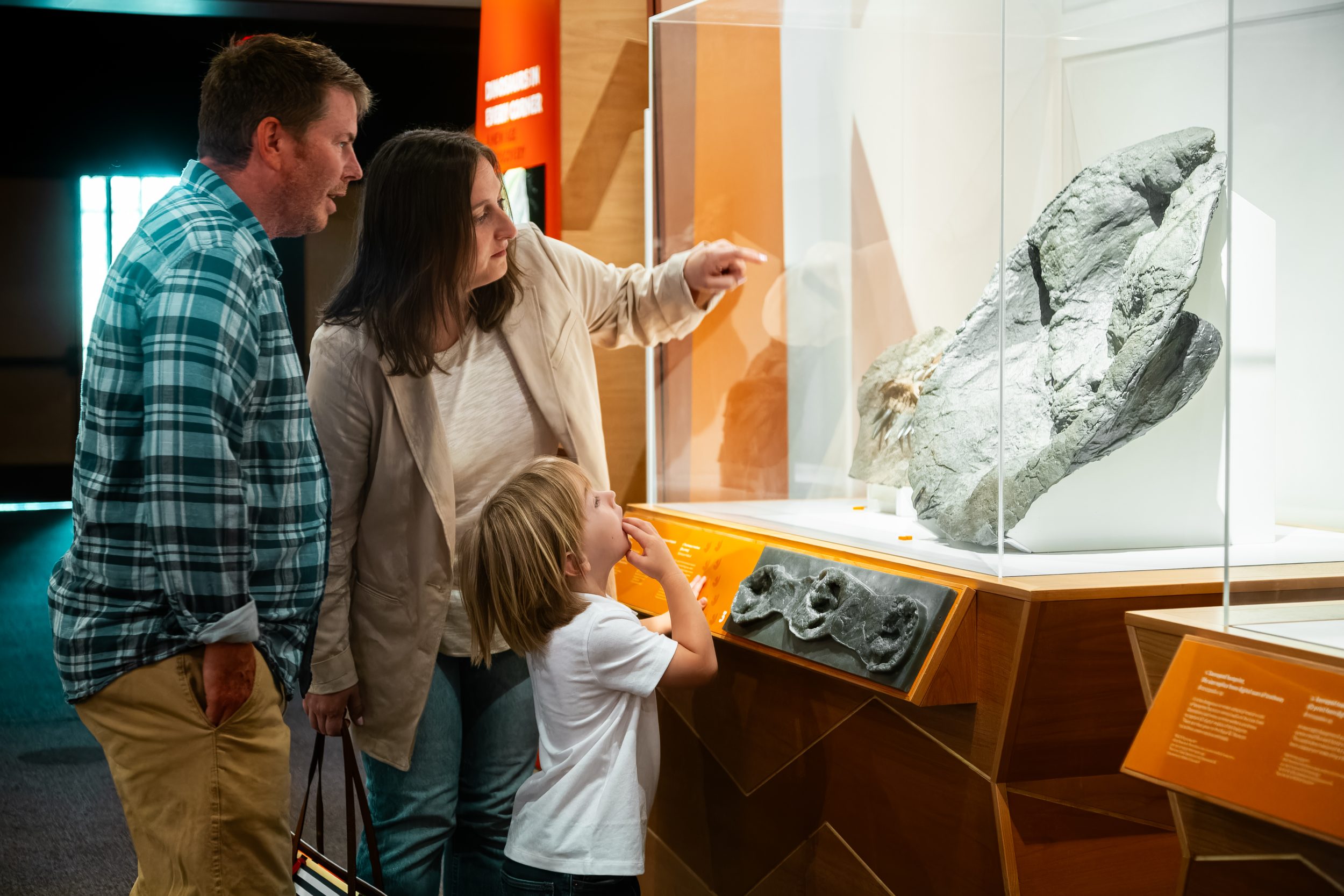 Roaring into summer: Dinosaurs of BC exhibit takes over Nanaimo Museum