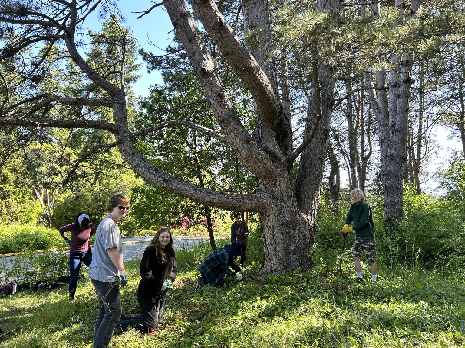 Community volunteers help restore natural habitat in Esquimalt Gorge Park