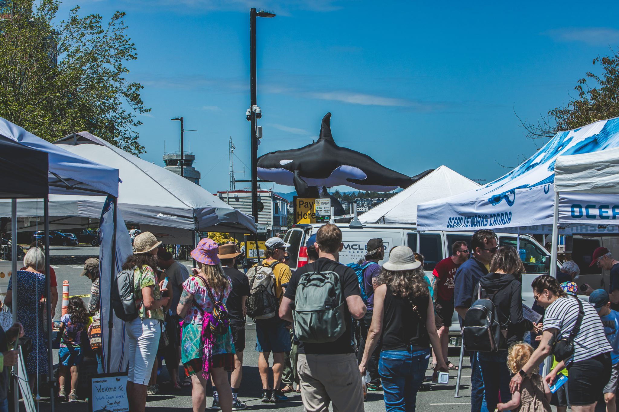 13 things to do in and around Victoria this weekend—June 7th and 8th