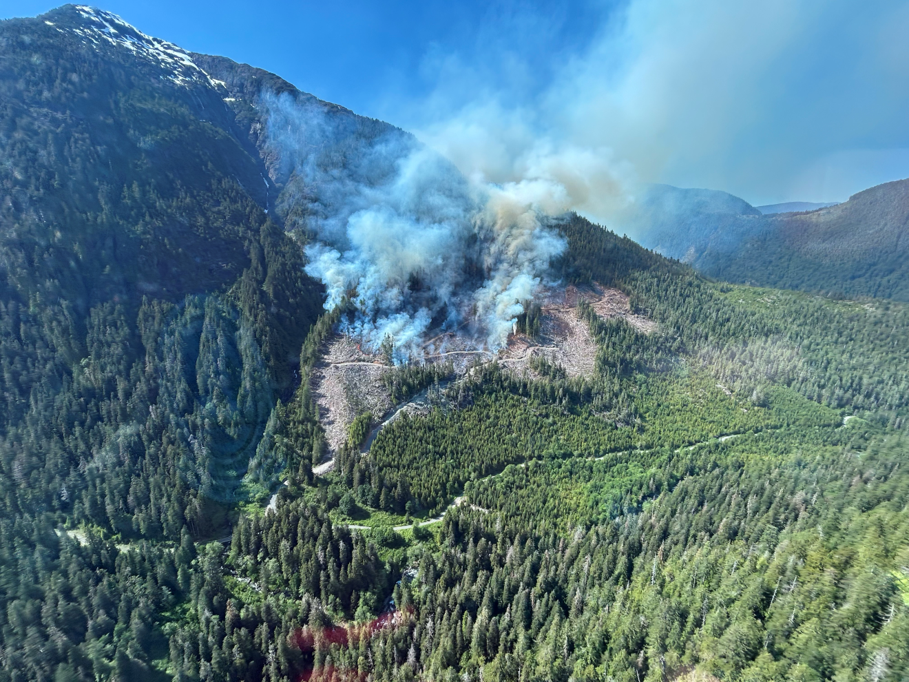 ‘Out of control’ wildfire ignites near Port Alberni amid early season ...