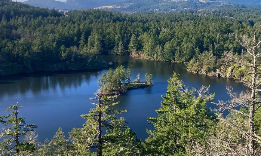 Langford Lake has beach advisory lifted just in time for long weekend