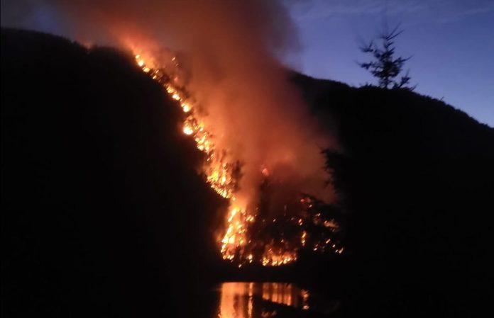 New ‘out of control’ wildfire discovered along Alberni Highway near ...