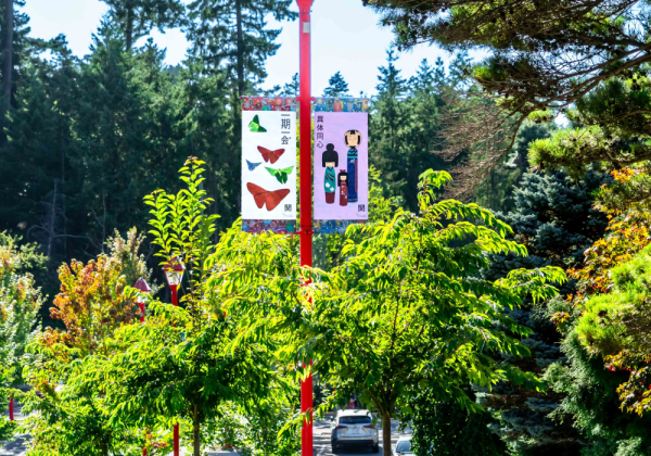 New street banners in Esquimalt Gorge Park showcase cultural heritage ...