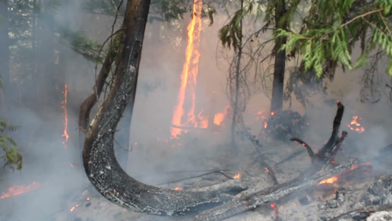 ‘We’re holding strong’: Crews defend homes as Wesley Ridge fire expands