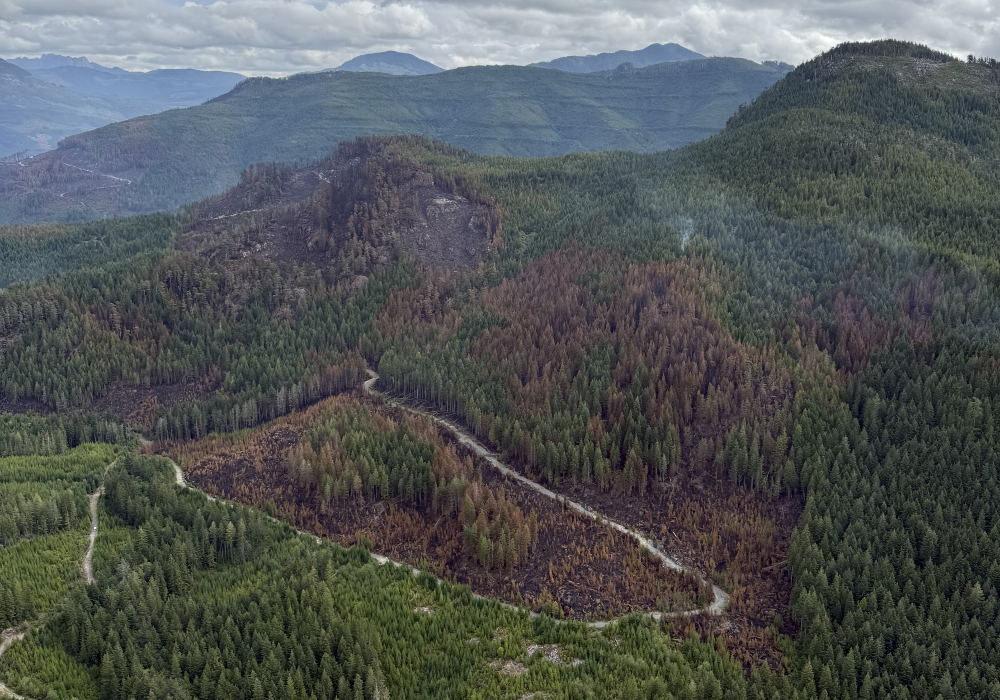 Mount Underwood wildfire deemed as ‘being held’ by BC Wildfire Service