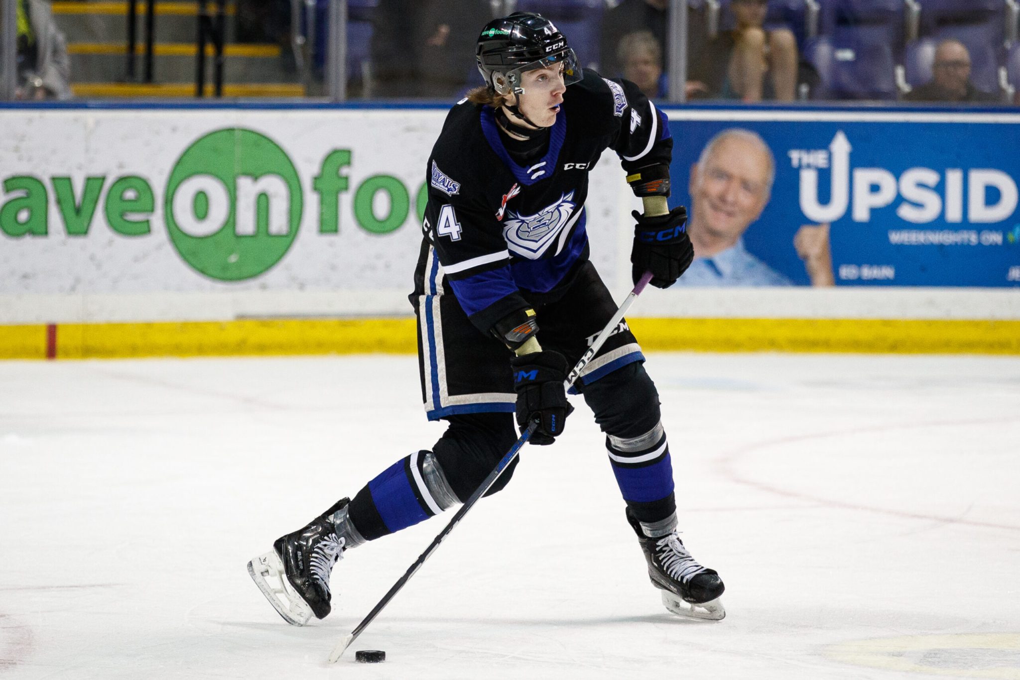 5 things to do in and around Victoria this Friday, November 7th