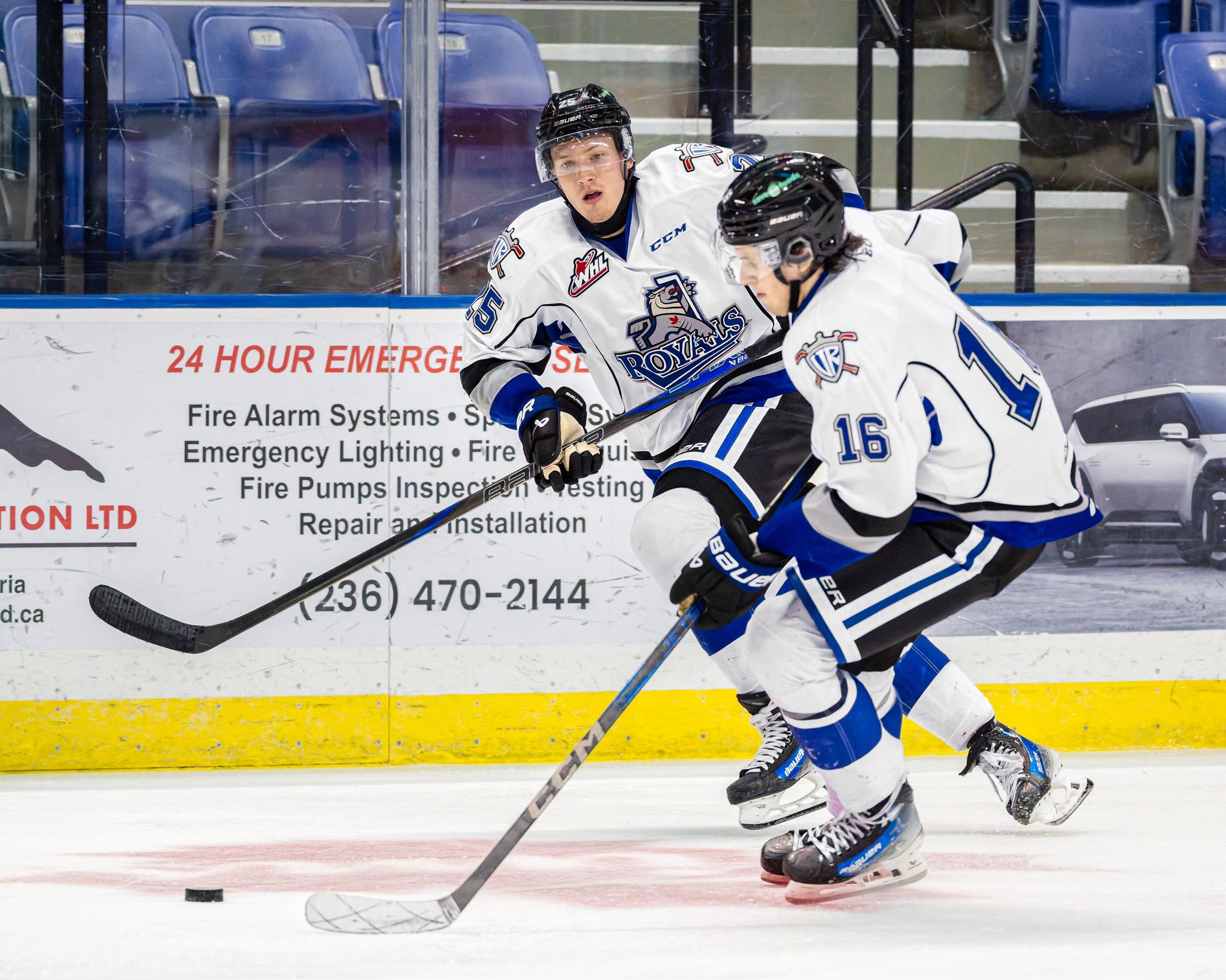 Victoria Royals announce pre-season roster ahead of 2025-26 season