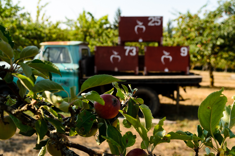 Fall into Autumn with these harvest-themed events at Merridale (CONTEST)