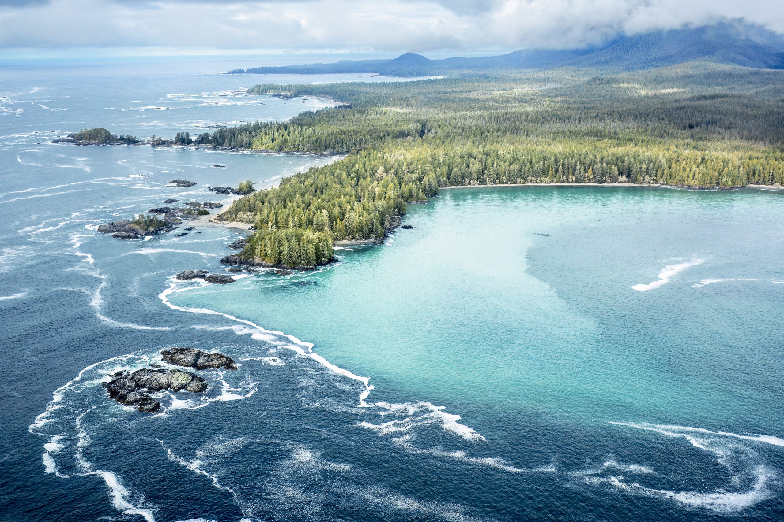 Vancouver Island coastline comes alive during annual Pacific herring ...