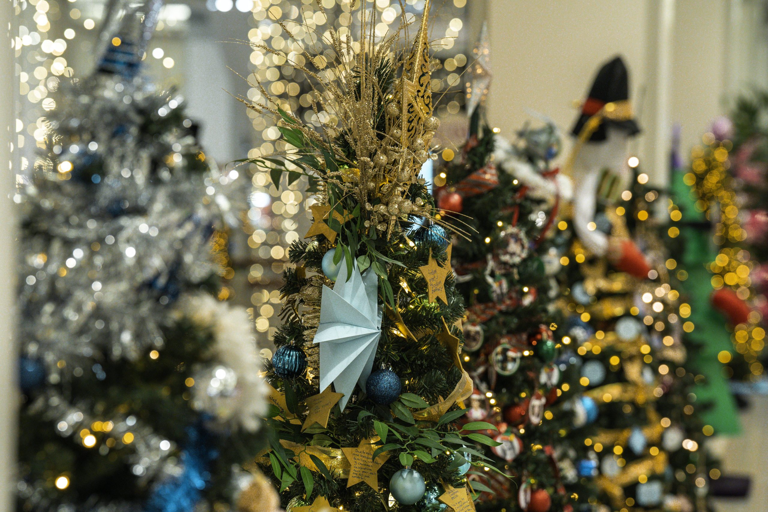 5 festive ways to experience Victoria's Festival of Trees this holiday ...