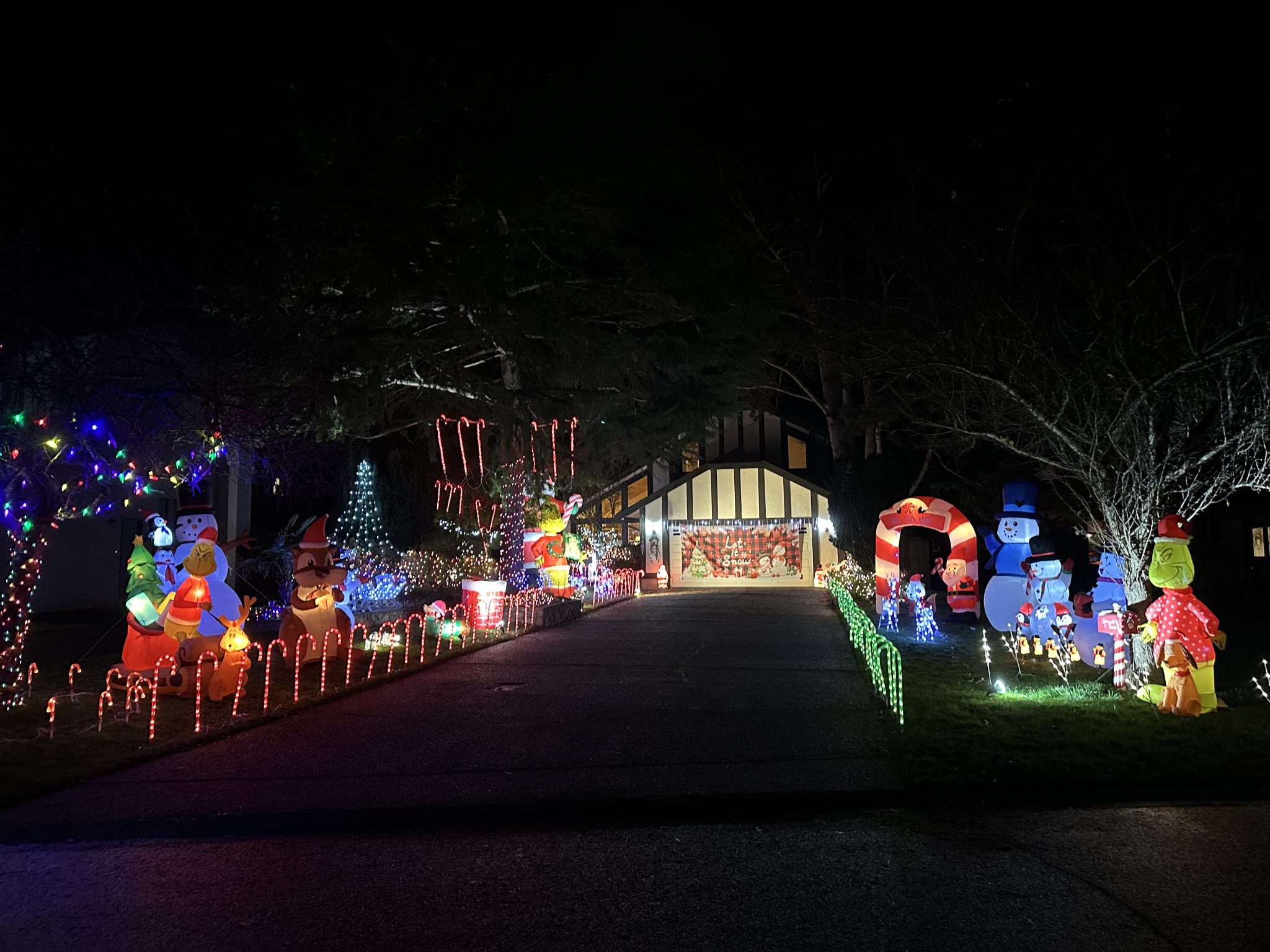 Candy Cane Lane - Victoria Buzz