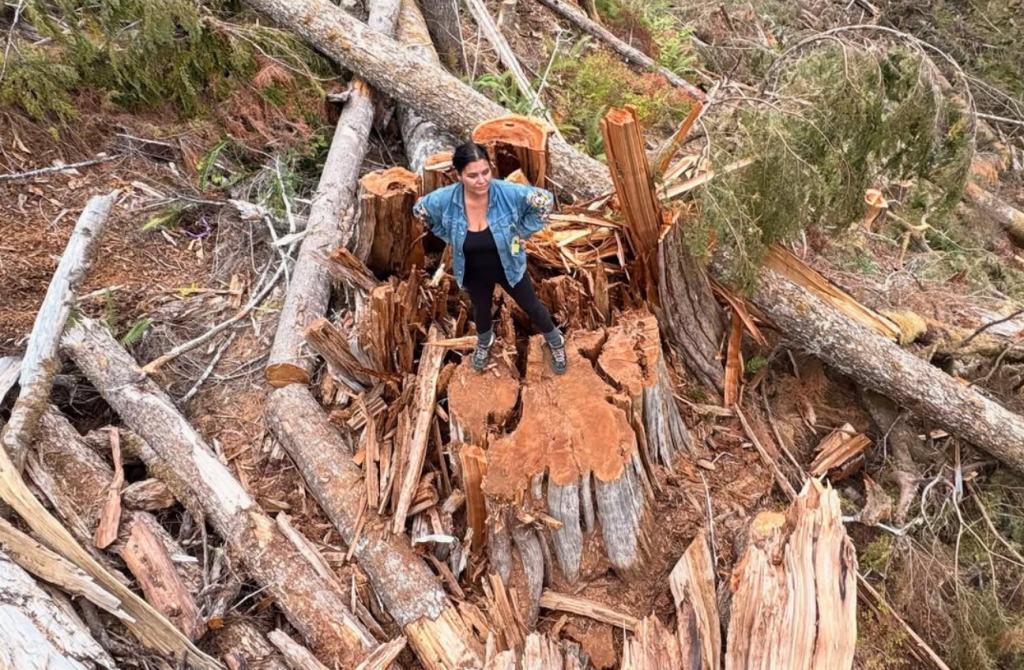 More protesters arrested as old growth activists blockade logging roads ...
