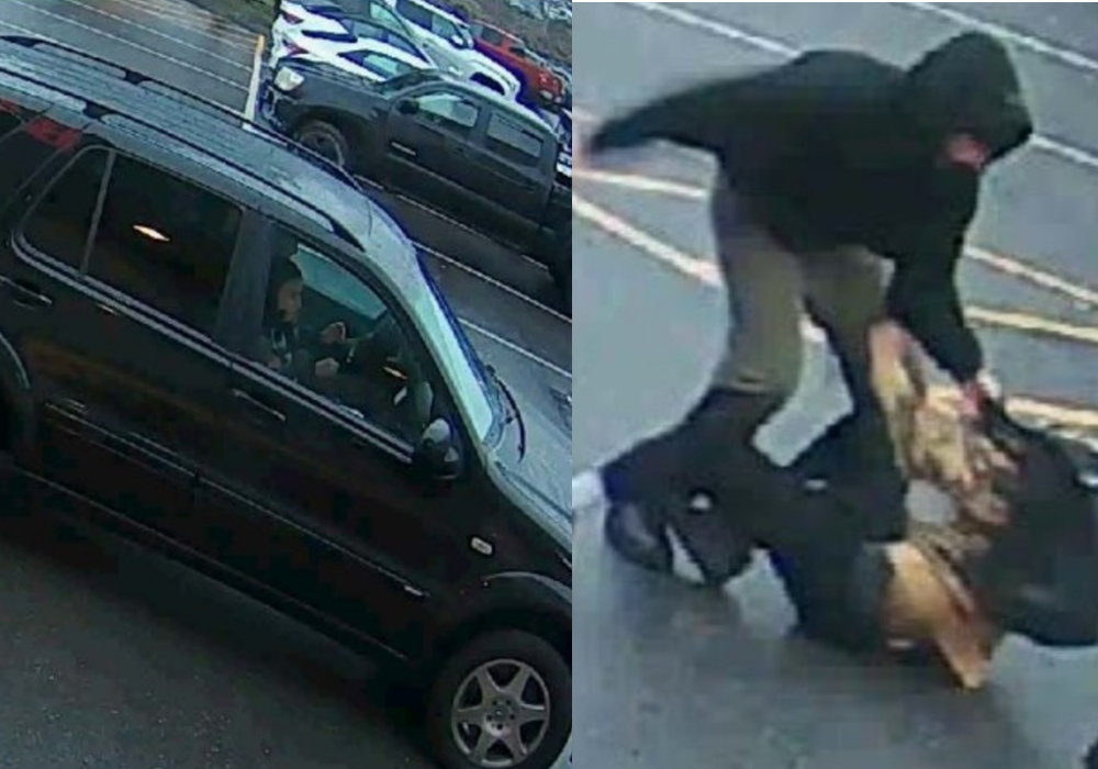 Saanich Police investigate violent robbery of 14-year-old by adult ...