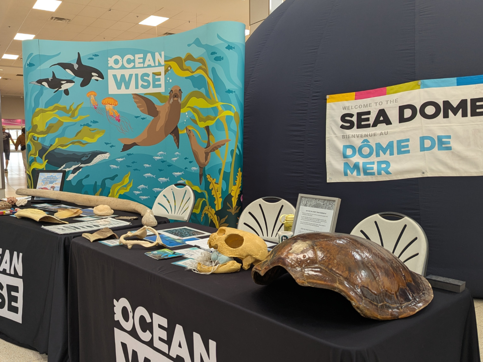 Travelling exhibit brings immersive oceanic experience to Vancouver ...