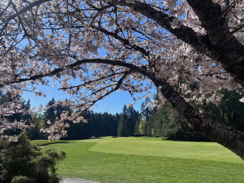 Vancouver Island businessman acquires popular Cowichan Valley golf course
