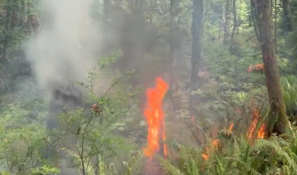 Man charged with arson after wildfire sparks near Port Alberni