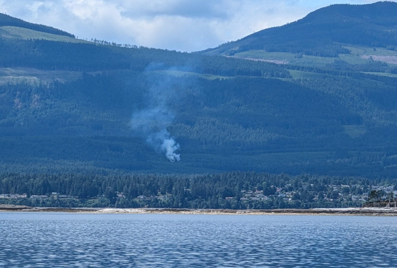 Wildfire near Chemainus now considered ‘under control’ after just 24 hours